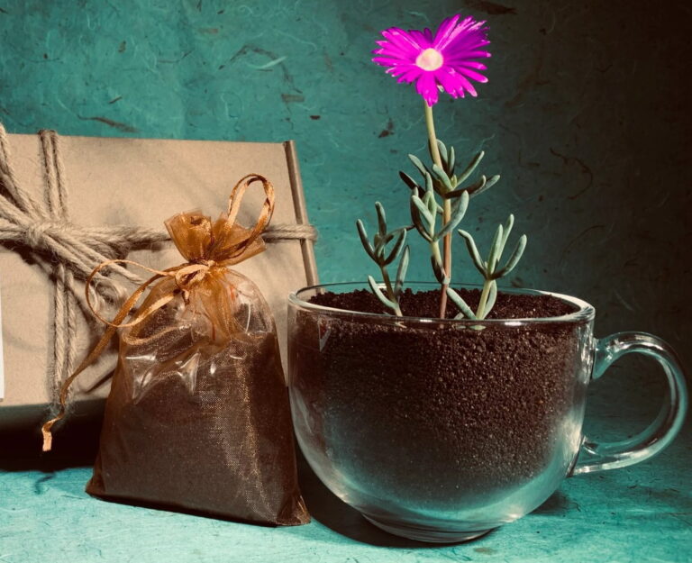 DIY Worm Tea Kit - ClicknPlant Online Nursery Gauteng