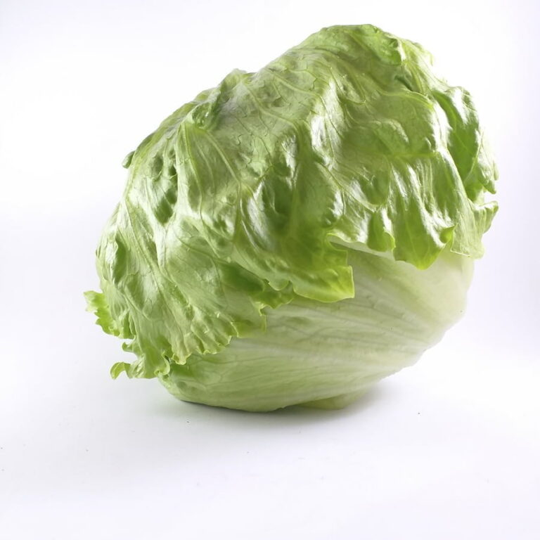 Lettuce Head 200 Plug Tray - ClicknPlant Online Nursery Gauteng